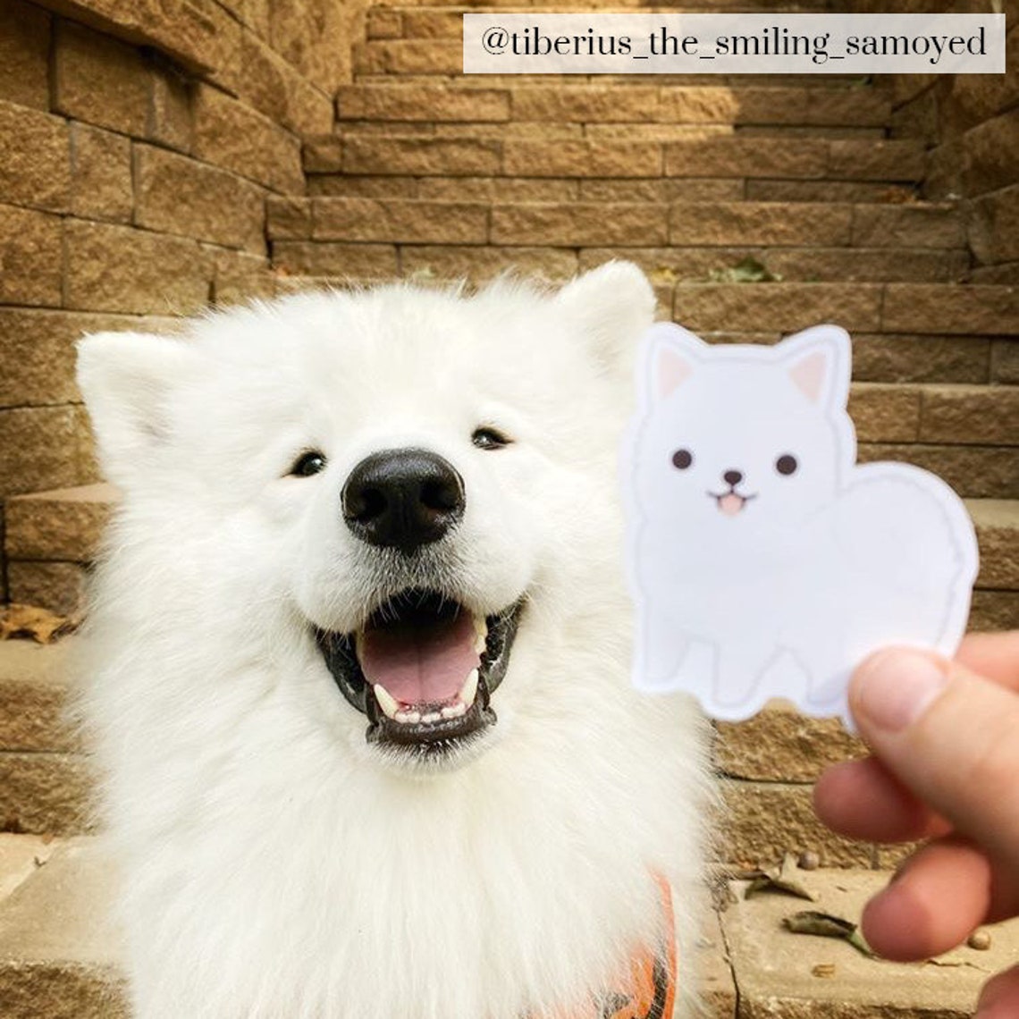 Samoyed Land Cloud Cute Dog Sticker Cartoon Kawaii Chibi Art | Etsy