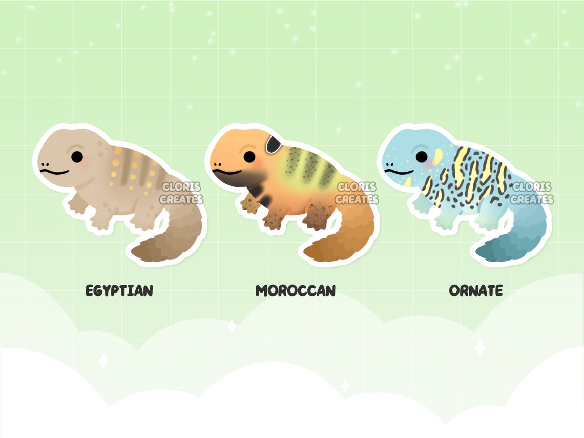Uromastyx Cartoon Die Cut Sticker Kawaii Chibi Waterproof - Etsy