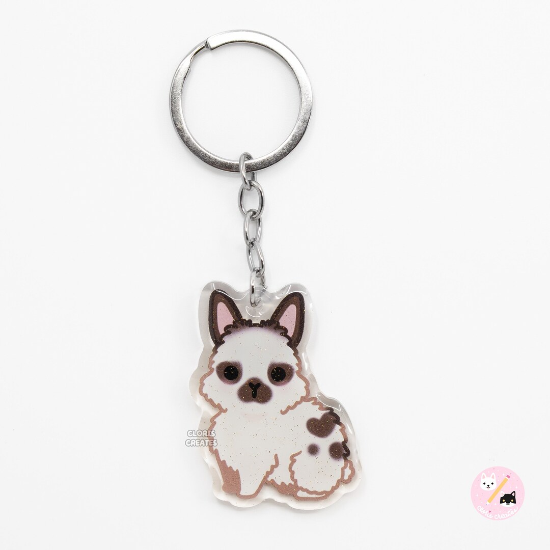 Broken Chocolate Lionhead Rabbit Acrylic Pet Keychain | Cartoon Kawaii ...