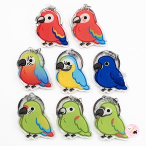 Scarlet Macaw Parrot Acrylic Bird Breed Keychain | Cartoon Kawaii Art ...