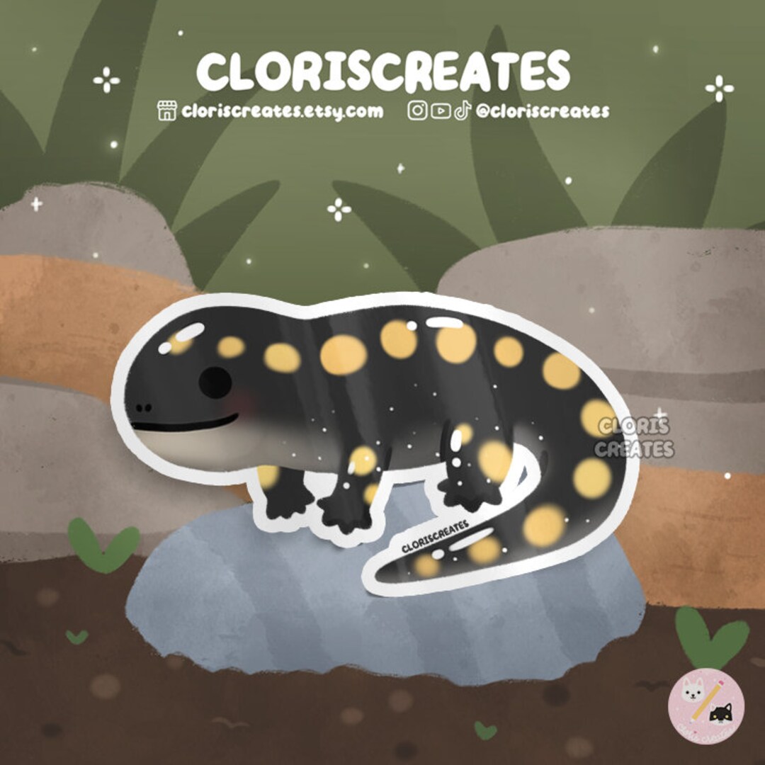Spotted Salamander Lizard Waterproof Vinyl Sticker | Kawaii Chibi ...