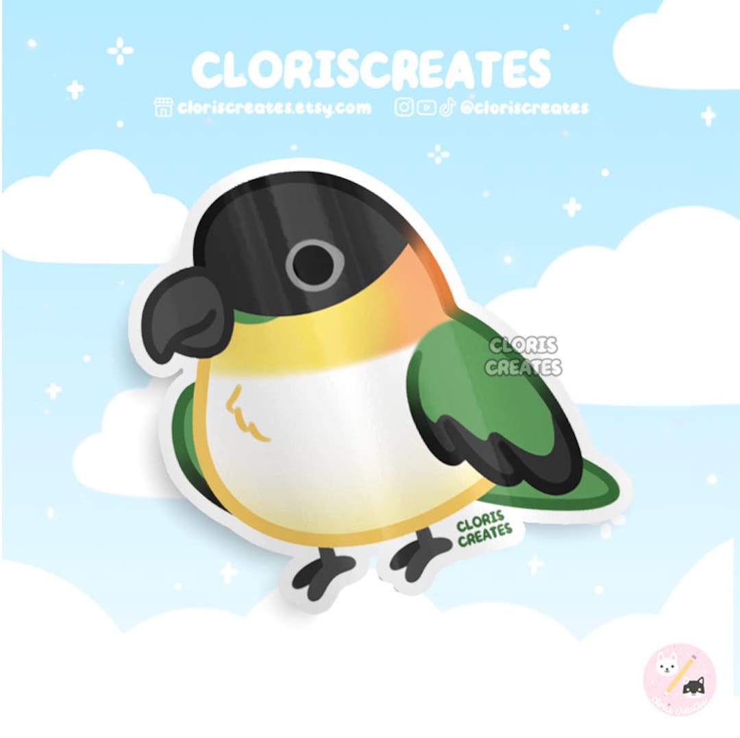 Black Headed Caique Parrot Bird Breed Waterproof Vinyl Sticker | Kawaii ...
