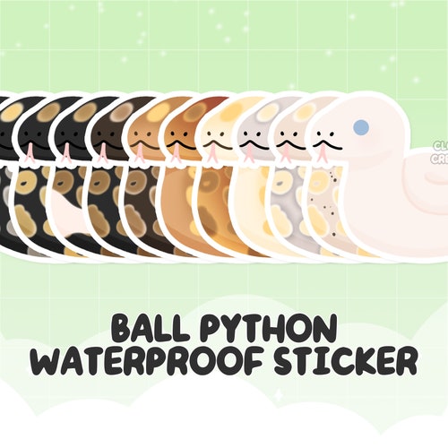 Boba Ball Python Snake Sticker - Etsy