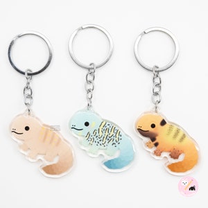 Ornate Uromastyx Acrylic Lizard Keychain | Cartoon Kawaii Art Exotic ...