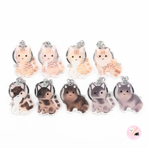 Torbie tortie Tabby Cat Acrylic Pet Breed Keychain Cartoon Chibi Art ...