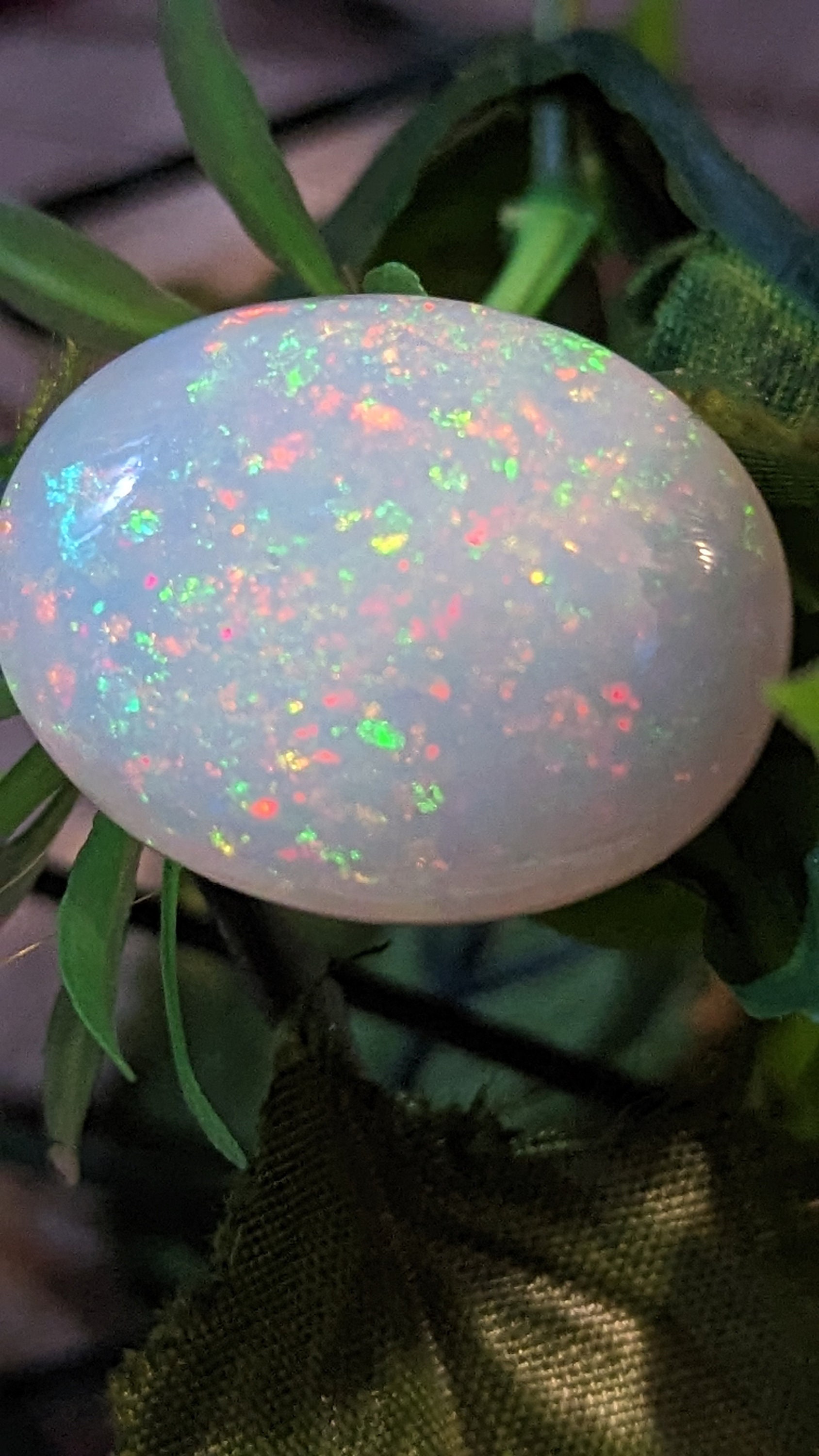 AAA QUALITY Sparkling Honeycomb Pattern Natural Ethiopian Opal Oval ...