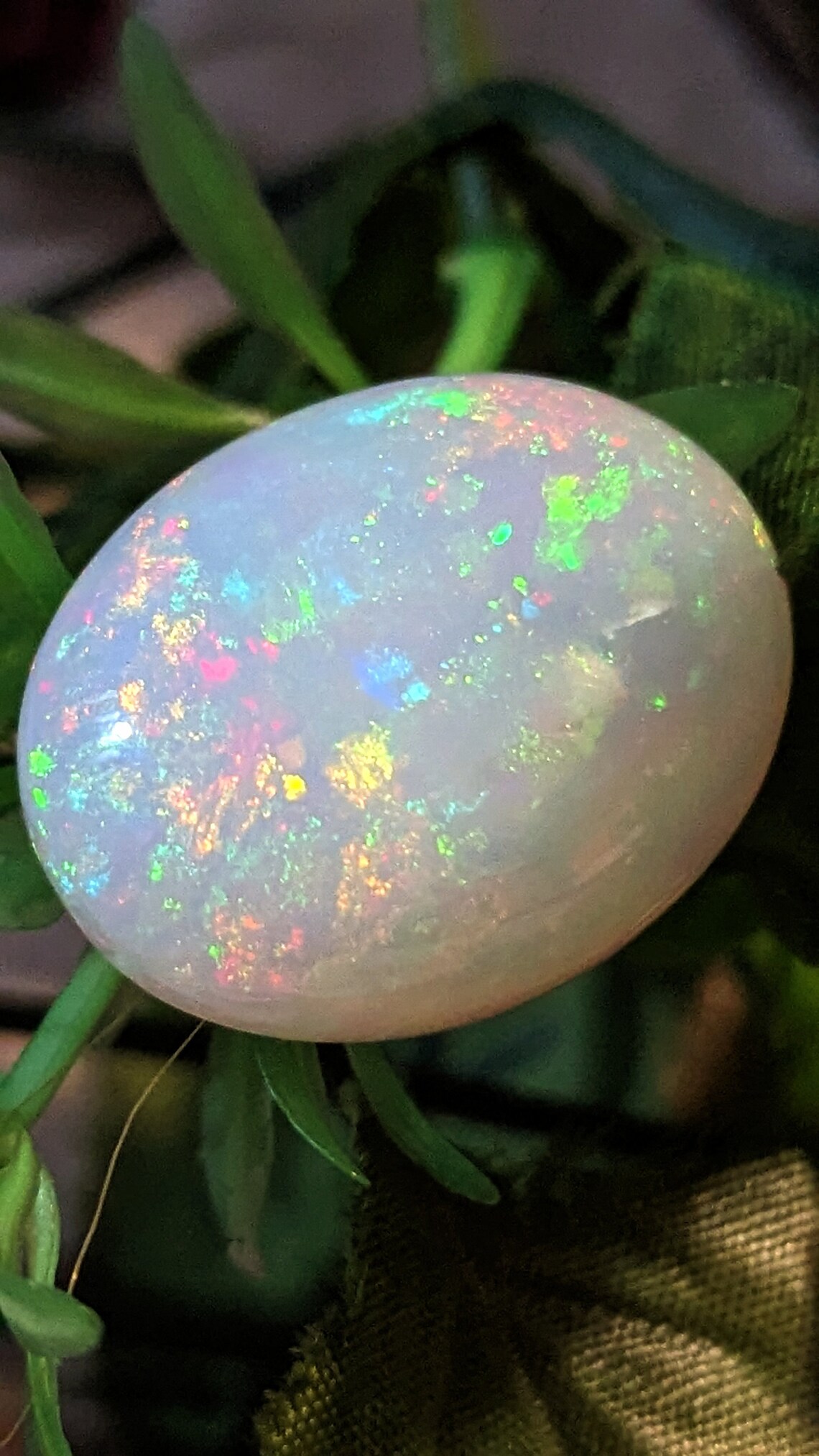 AAA QUALITY Sparkling Honeycomb Pattern Natural Ethiopian Opal Oval ...