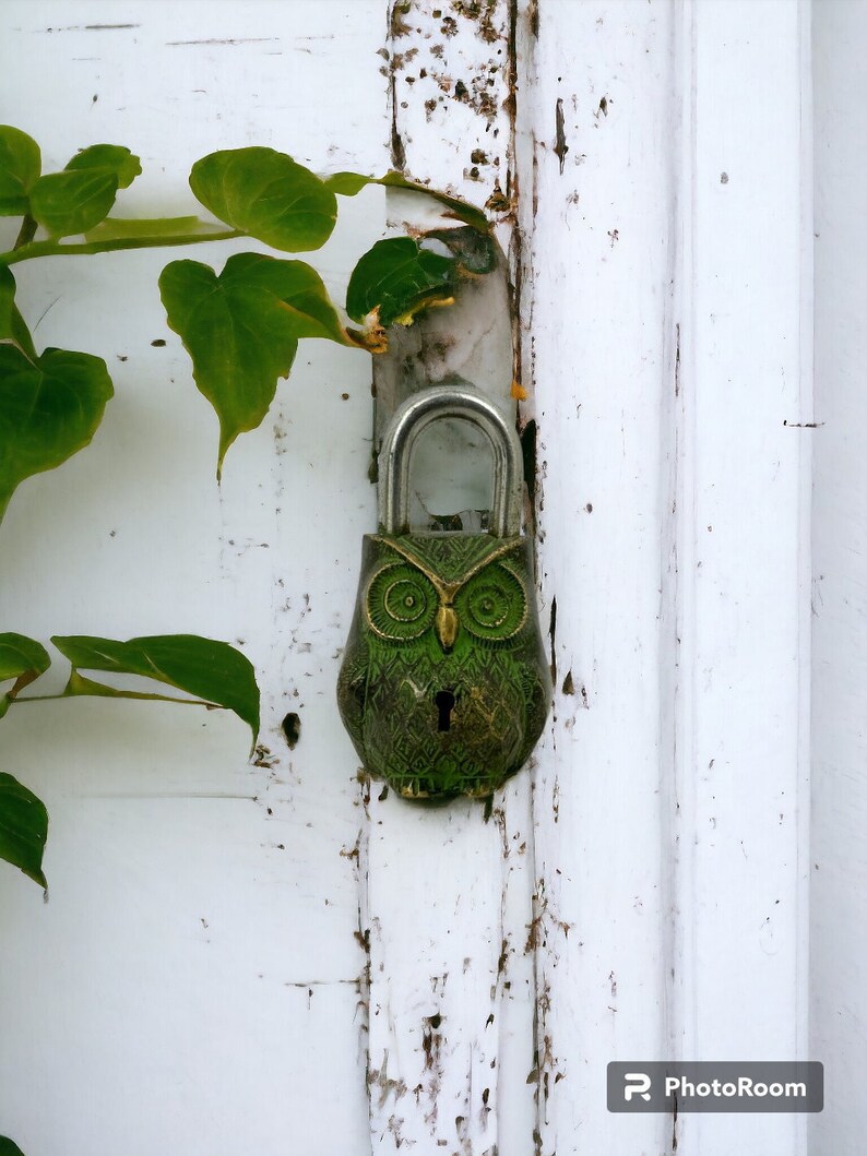 Brass Vintage Owl Pad Lock With 2 Keys, Home and Security Lock ...