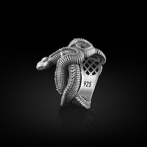 Twisted Snake Ring, Ouroboros Snake Sterling Silver Mens Ring, Snake ...