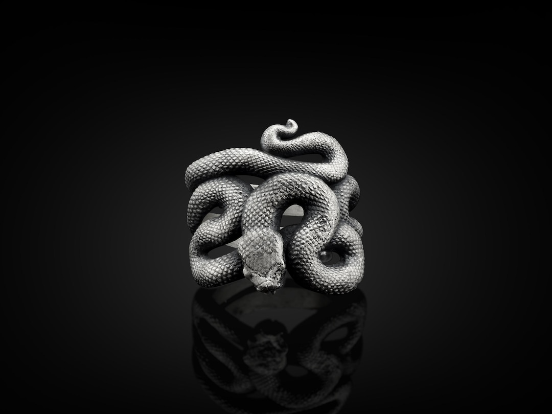 Snake Handmade Sterling Silver Men Ring, Serpent Silver Ring, Snake ...