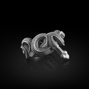 Twisted Snake Ring, Ouroboros Snake Sterling Silver Mens Ring, Snake ...