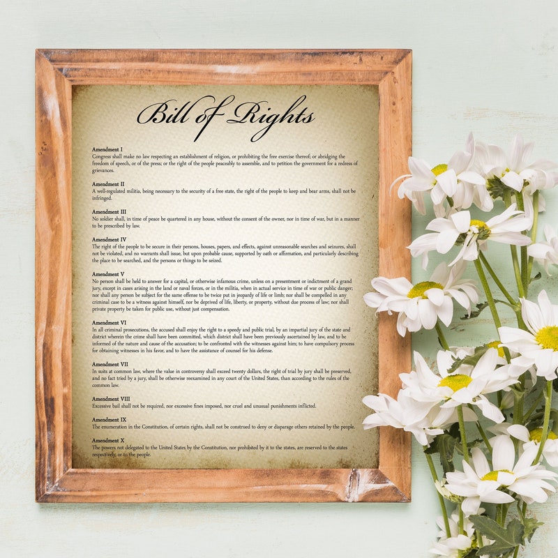 Bill of Rights Poster - Etsy