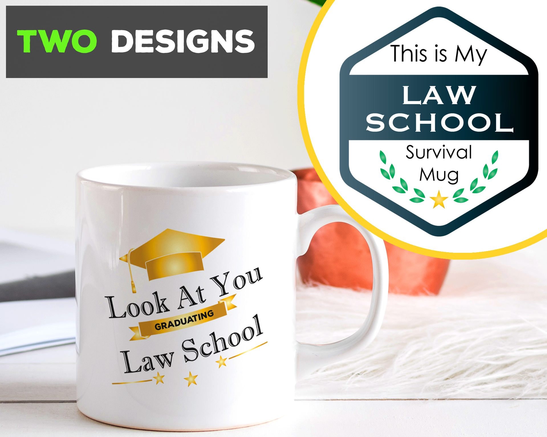 Law School Mug, Law School Graduation Gift, New Lawyer JD Survived the ...