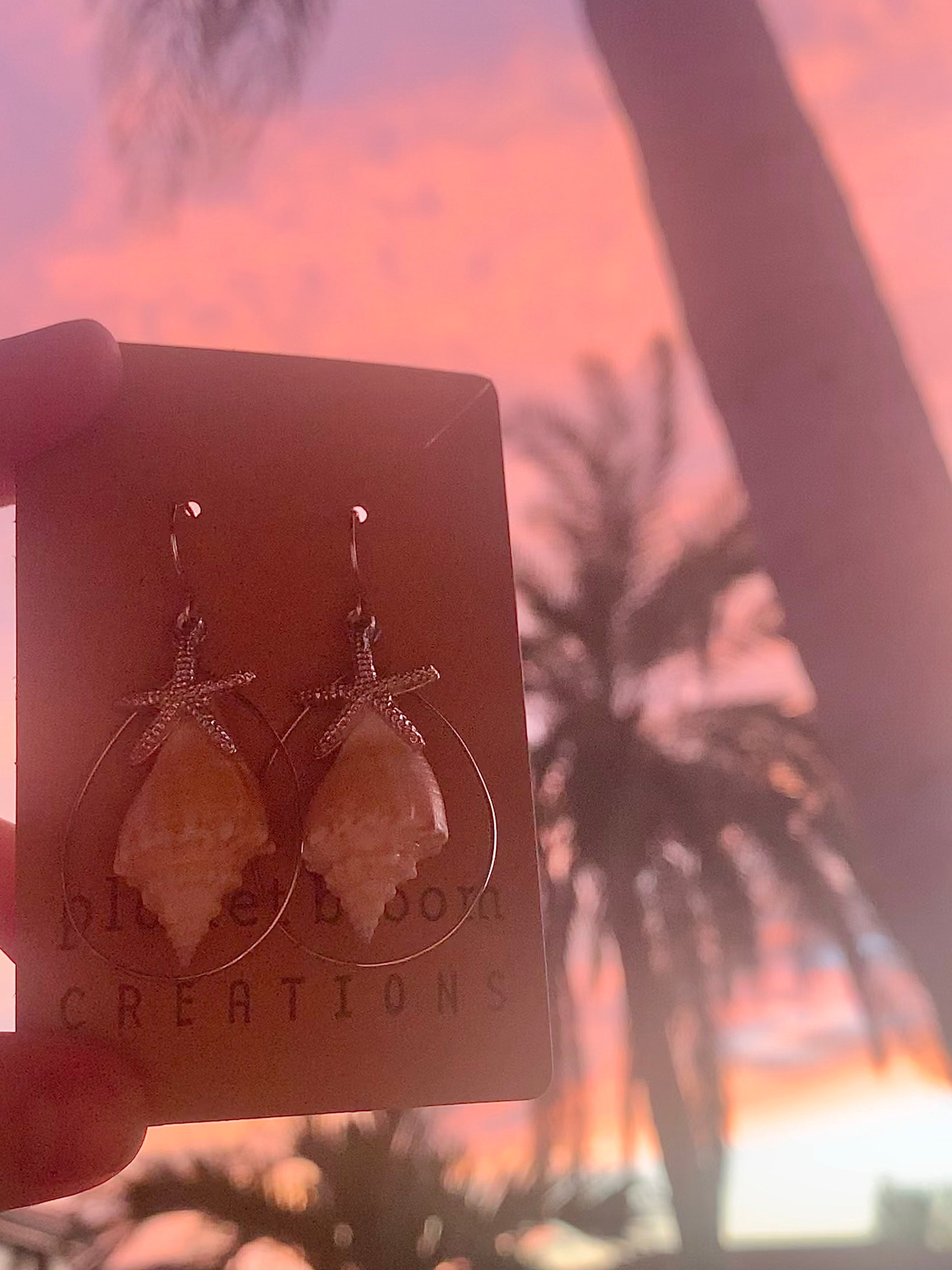 Florida Fighting Conch Silver Wire Wrapped Hook Earrings With Starfish ...