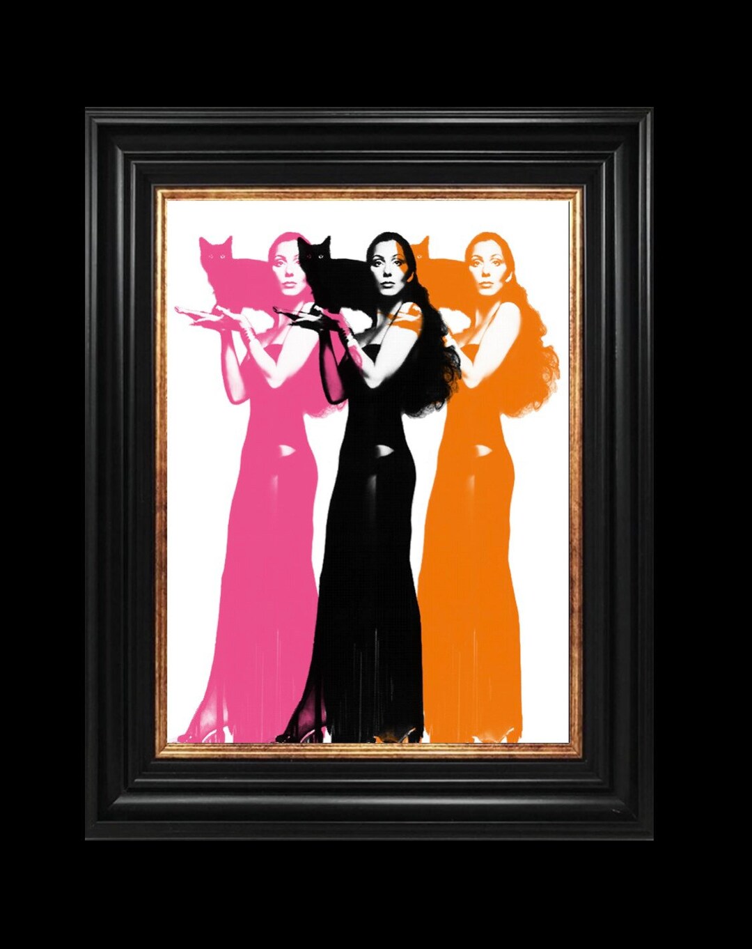 Cher, Art Print, Music Art, Trendy Poster, Colourful, Cool Prints - Etsy