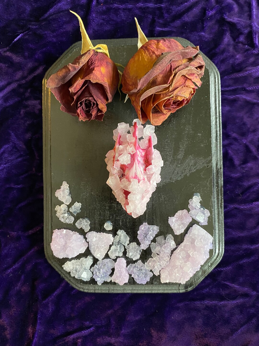 Pink Crystallized Turtle Skull Wall Hanging II - Etsy