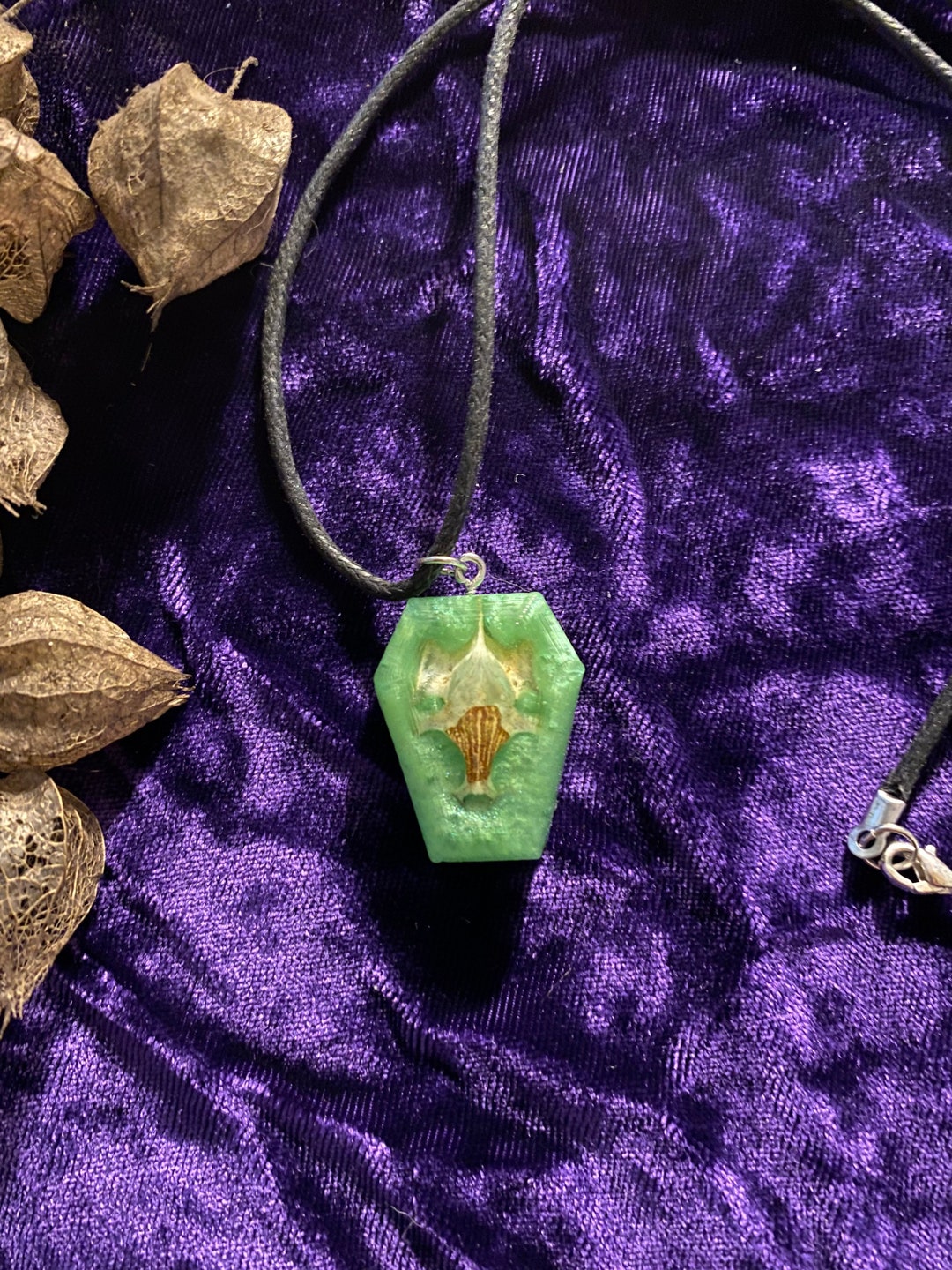 Turtle Slime Coffin - Etsy