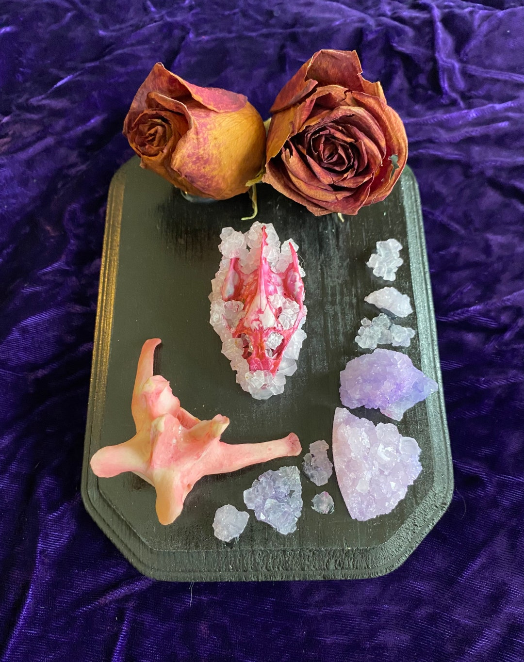 Pink Crystallized Turtle Skull Wall Hanging I - Etsy