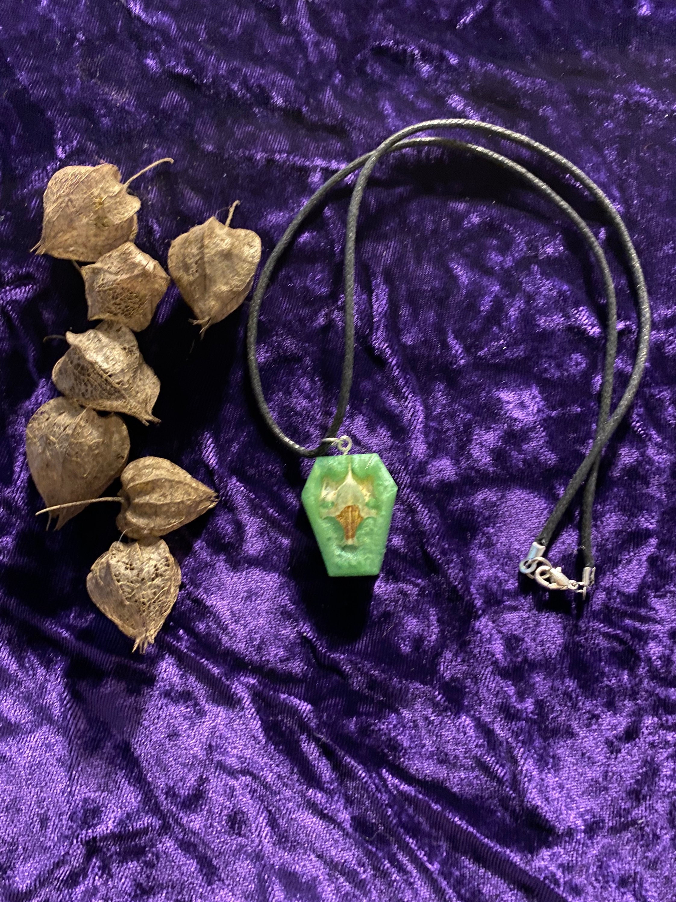 Turtle Slime Coffin - Etsy