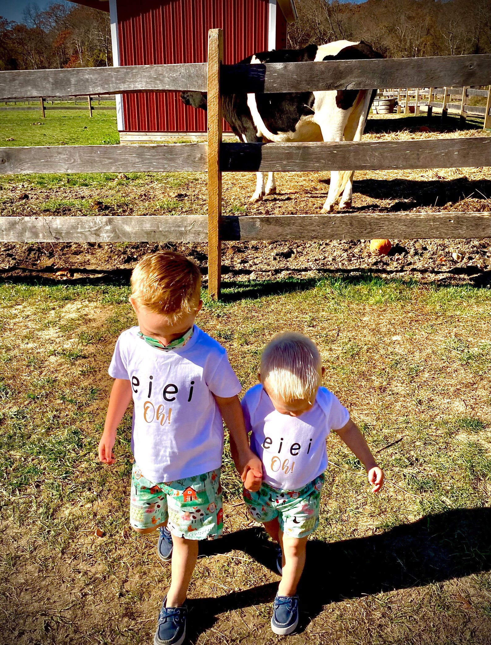 Farm Outfit Set Boys Matching Brother Outfits Farm Animal | Etsy