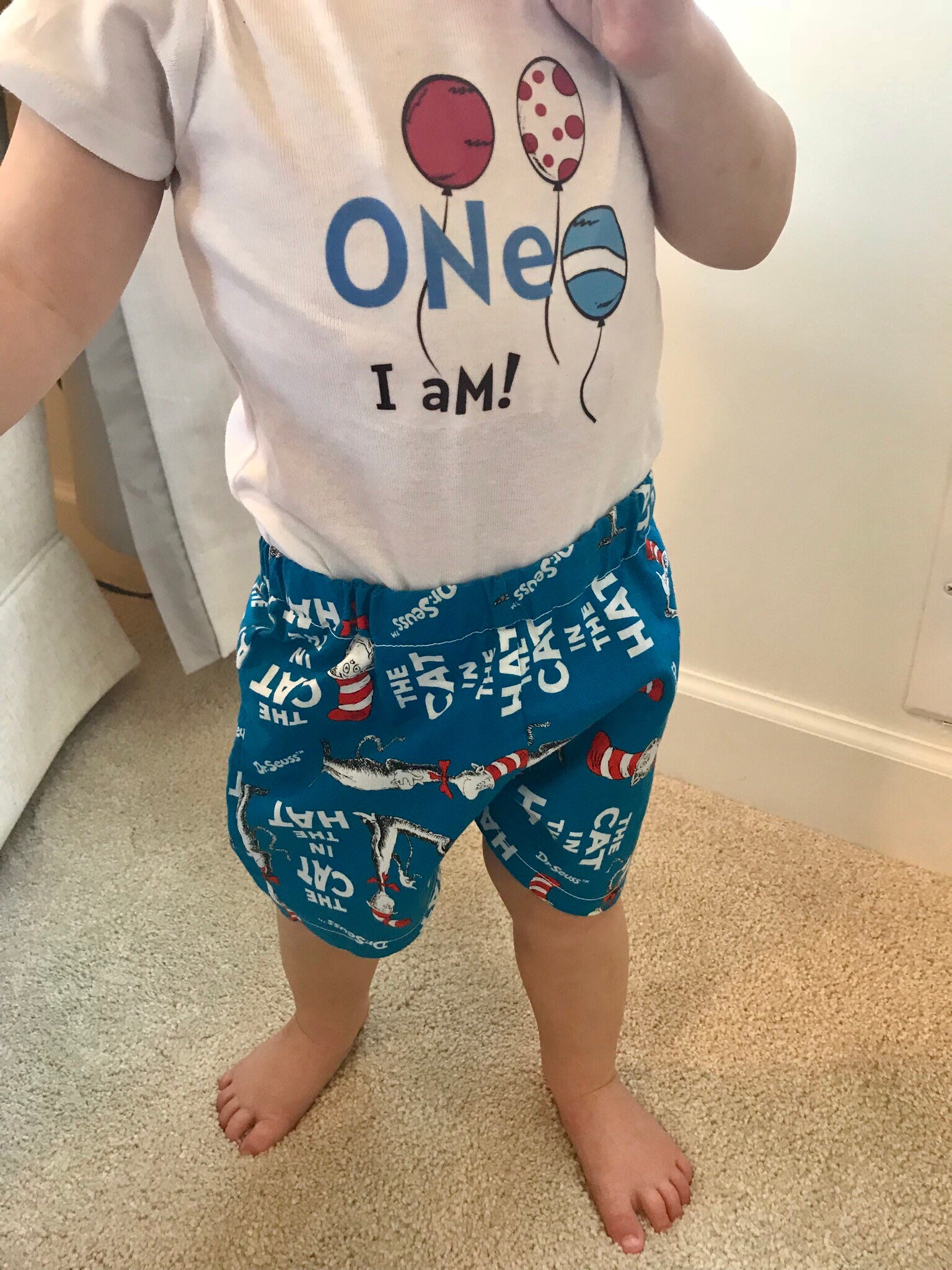 ONE I Am First Birthday onepiece bodysuit Cake Smash | Etsy