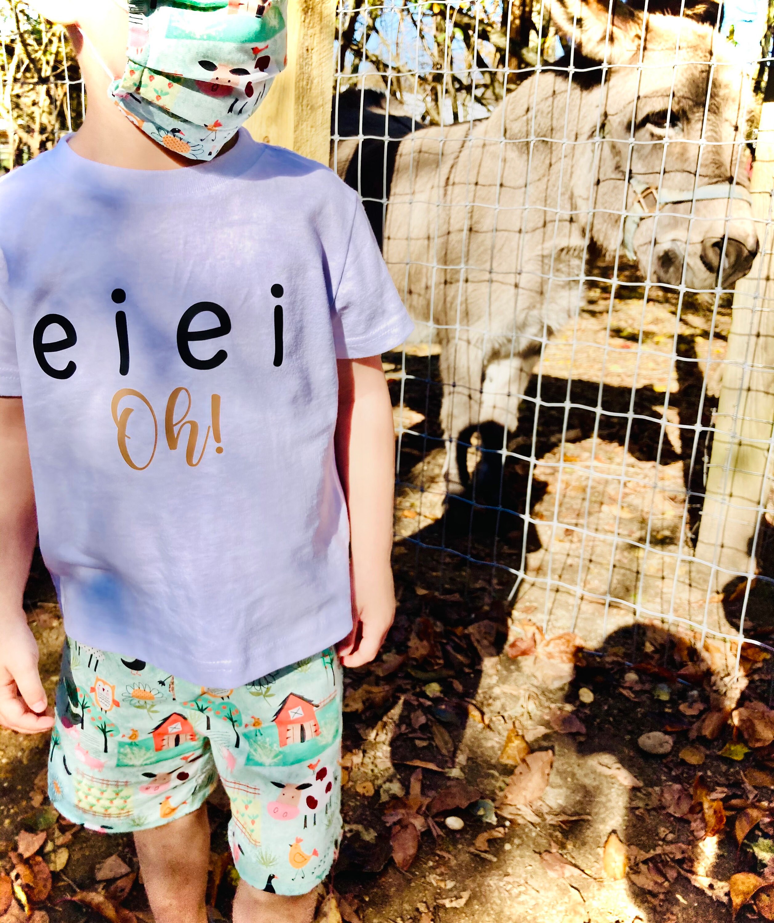 Farm Outfit Set Boys Matching Brother Outfits Farm Animal | Etsy