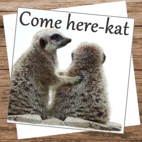 greeting card Meerkat greeting card timone card blank inside birthday ...
