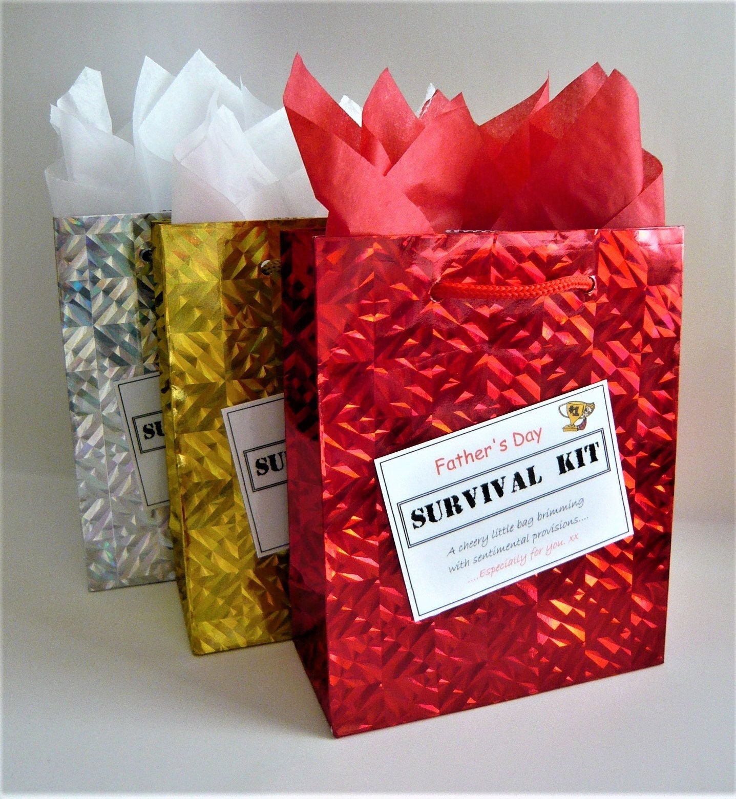 Fathers Day Survival Kit - Fun Novelty Gift, Cute Present, Sentimental ...