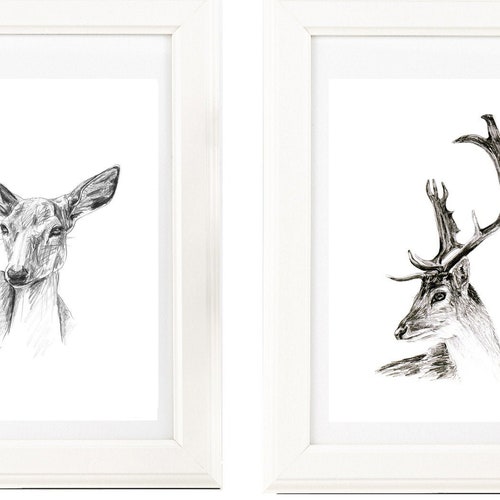 Buck and Doe Wall Art Doe and Deer Poster Stag and Doe - Etsy Israel