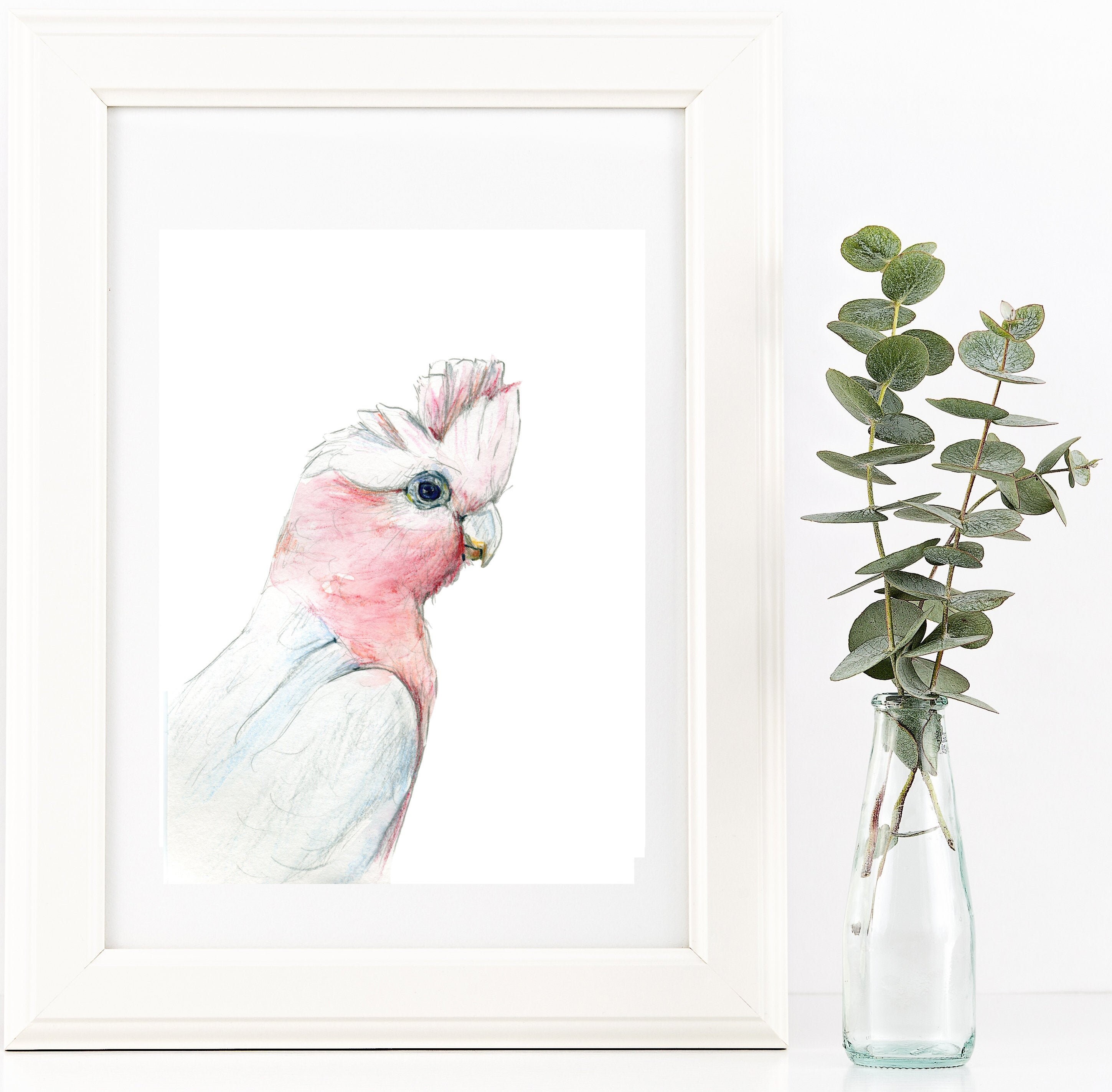 Hand Drawn Pink Galah Drawing Print. Australian Native Bird - Etsy ...