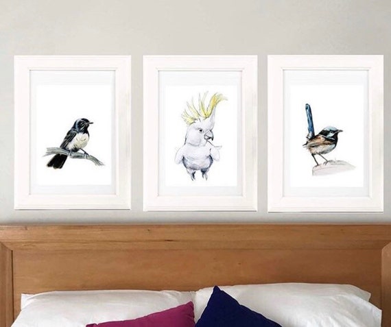 Australian Native Birds Art Print Set. Blue Wren Cockatoo & | Etsy