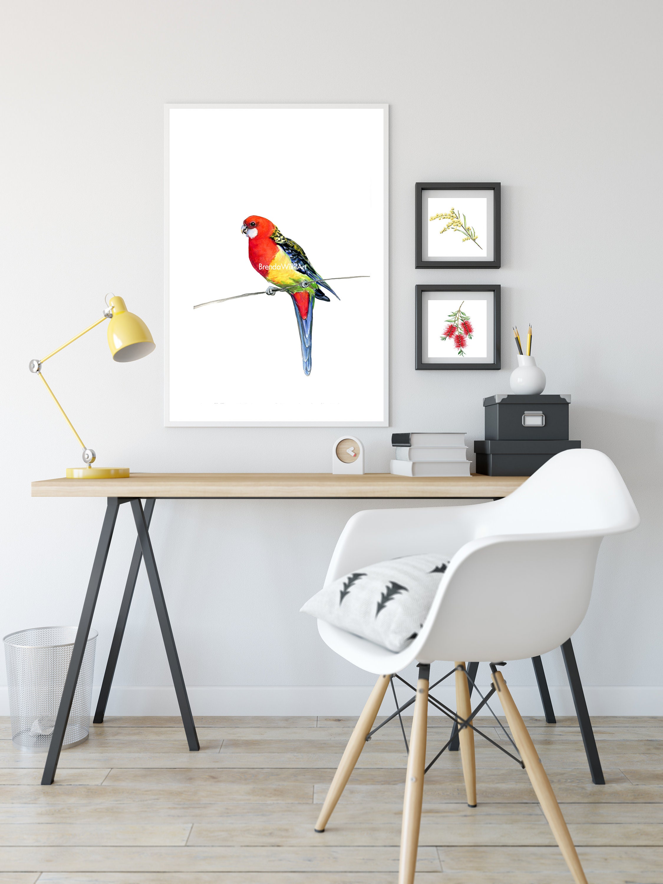 Hand Drawn Rosella Drawing Print. Australian Native Bird - Etsy Australia