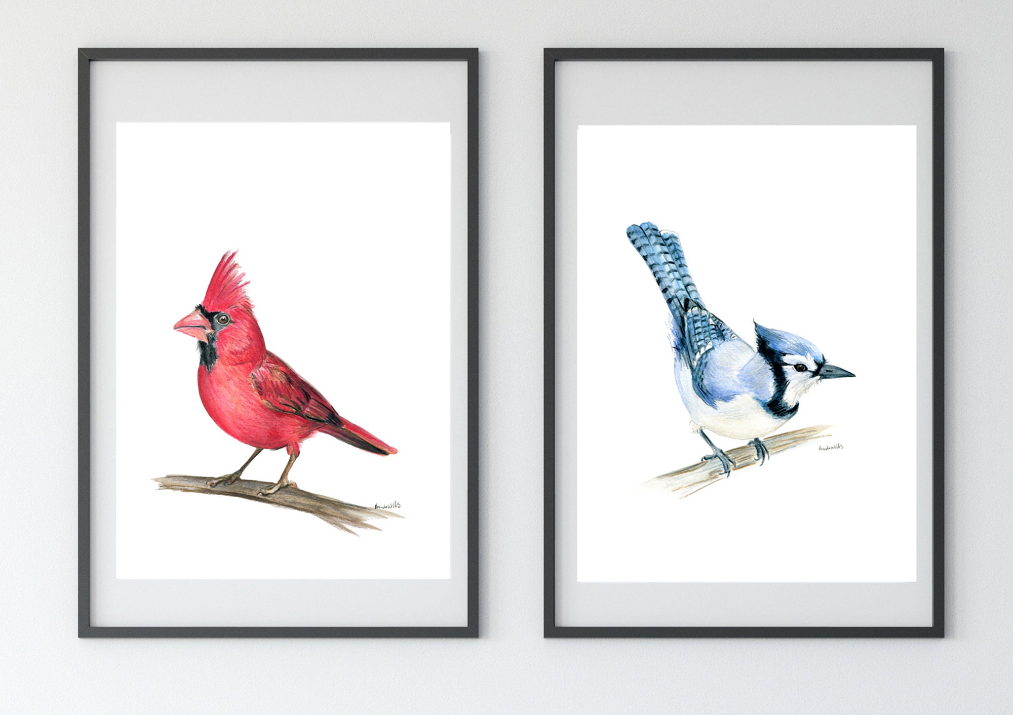 Red Cardinal and Blue Jay Art Print Set X2. American Native | Etsy