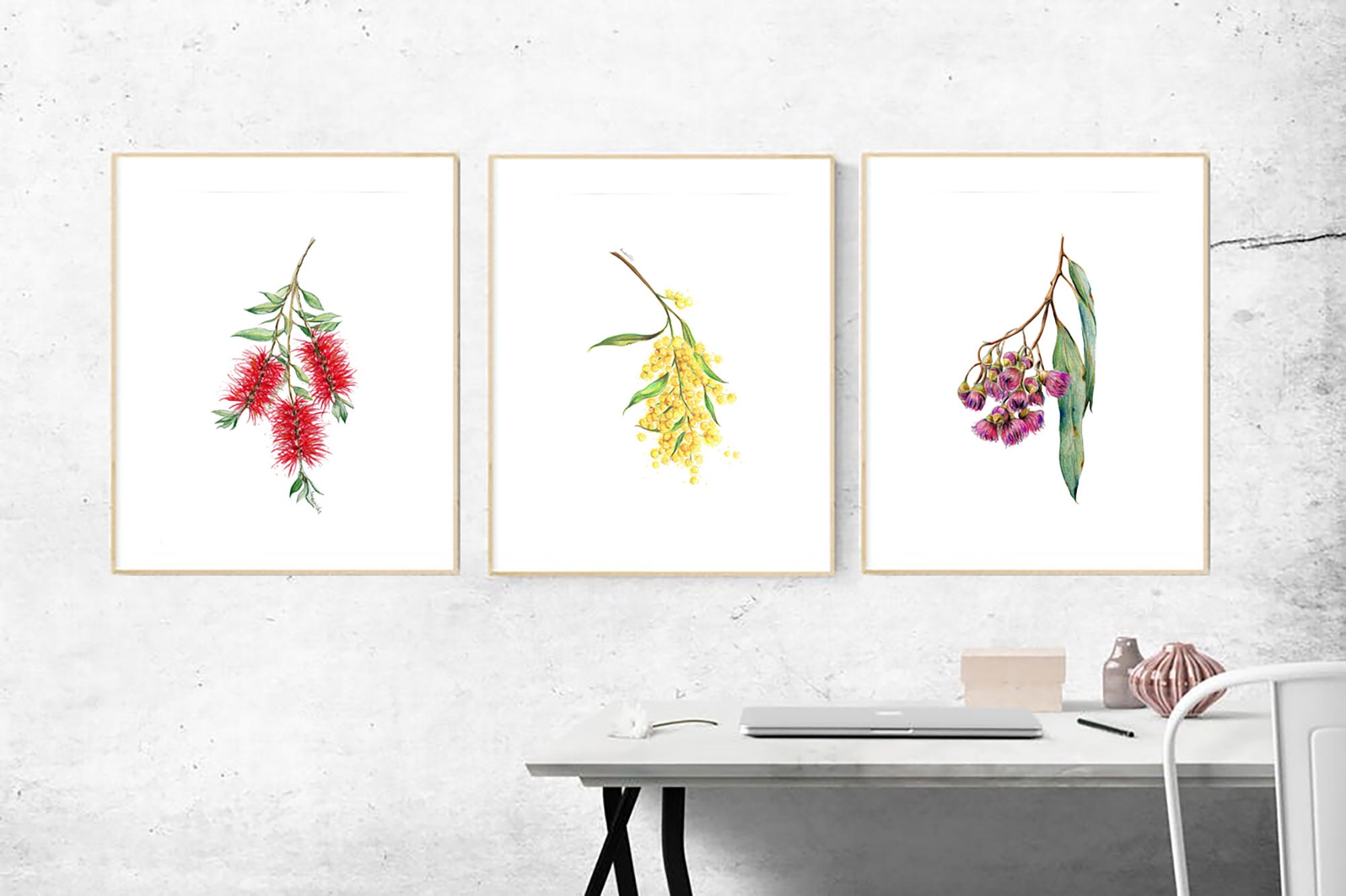 Yellow Wattle Flower Drawing Print. Australian Native Flower ...