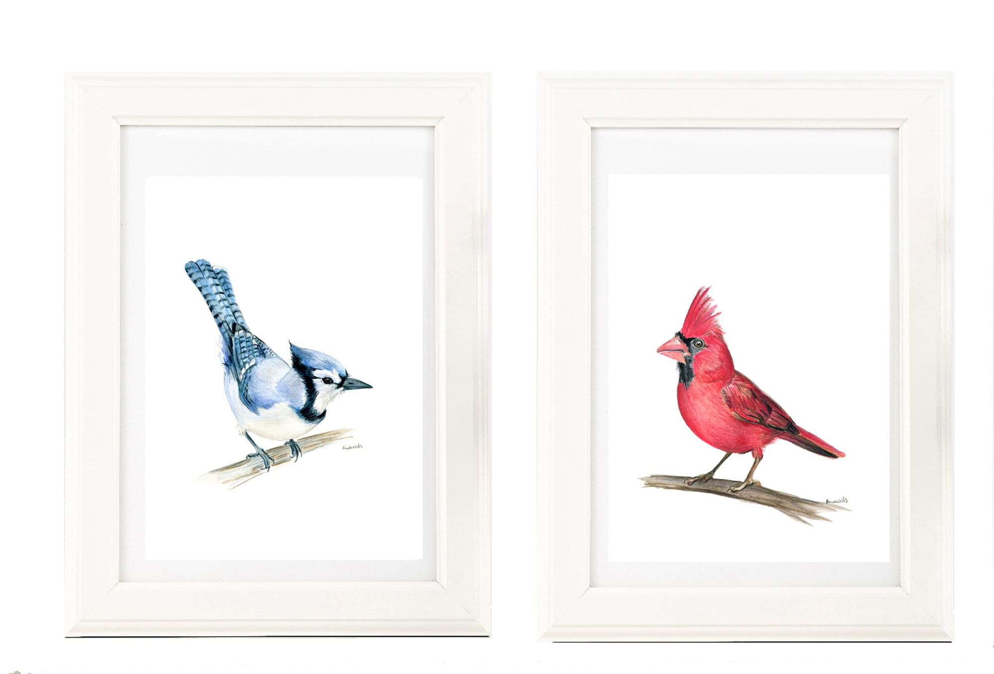 Red Cardinal and Blue Jay Art Print Set X2. American Native | Etsy