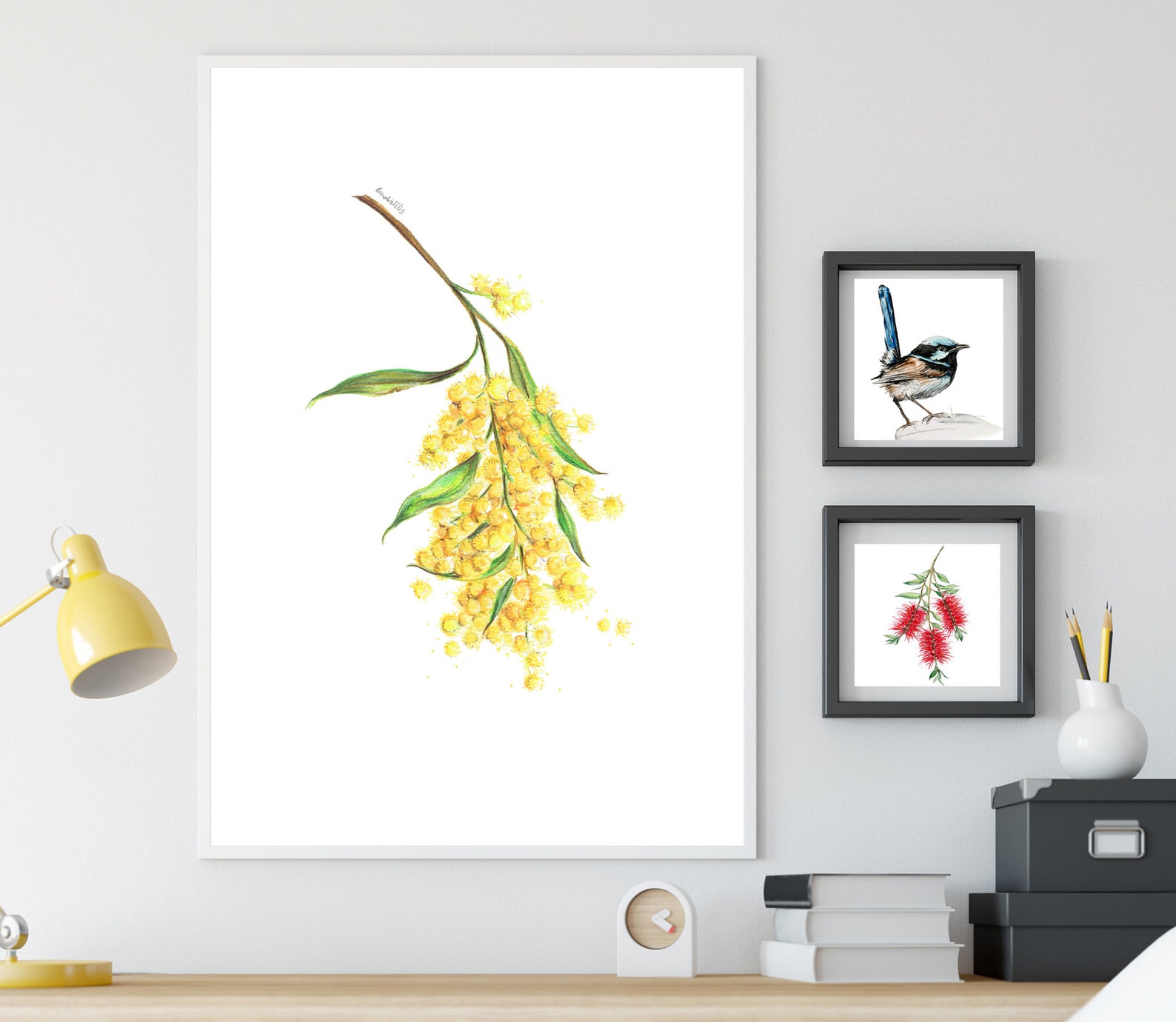 Yellow Wattle Flower Drawing Print. Australian Native Flower ...