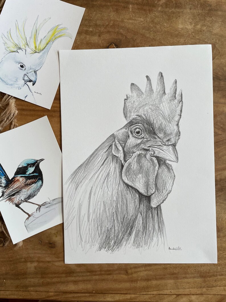 Original Hand Drawn Chicken Drawing Artwork. Black and White | Etsy
