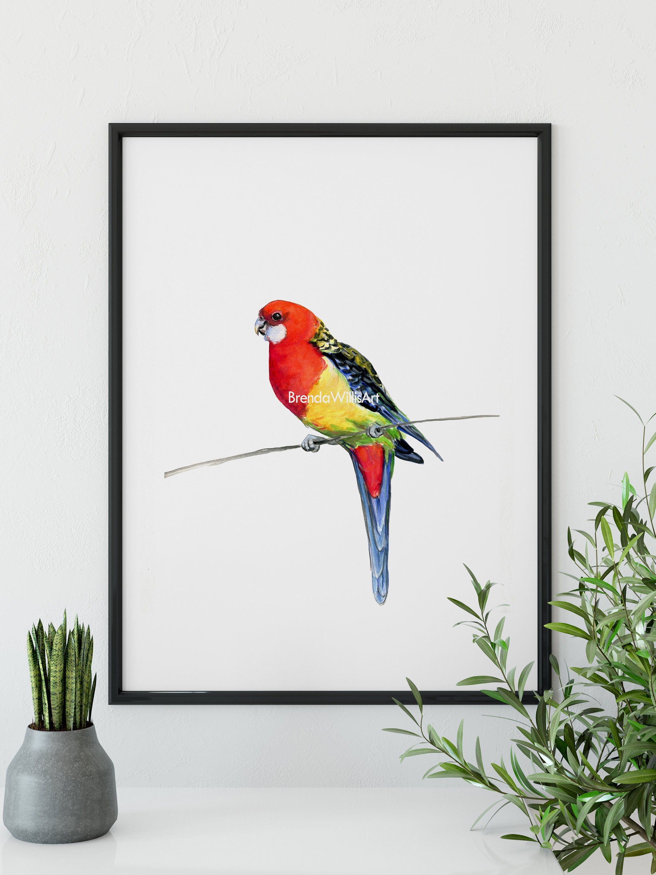 Hand Drawn Rosella Drawing Print. Australian Native Bird | Etsy Australia