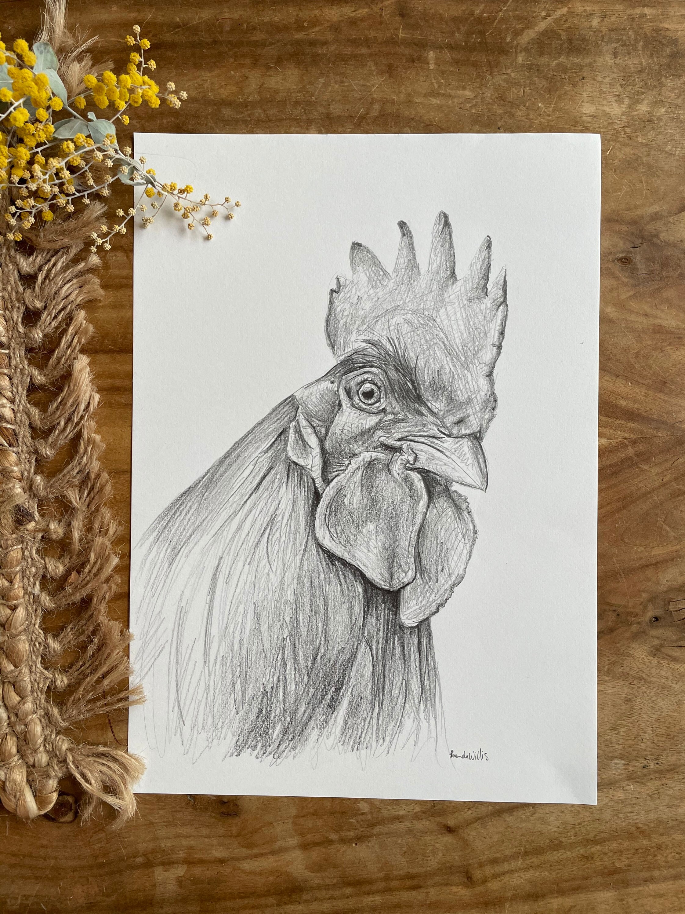 How To Draw A Realistic Chicken