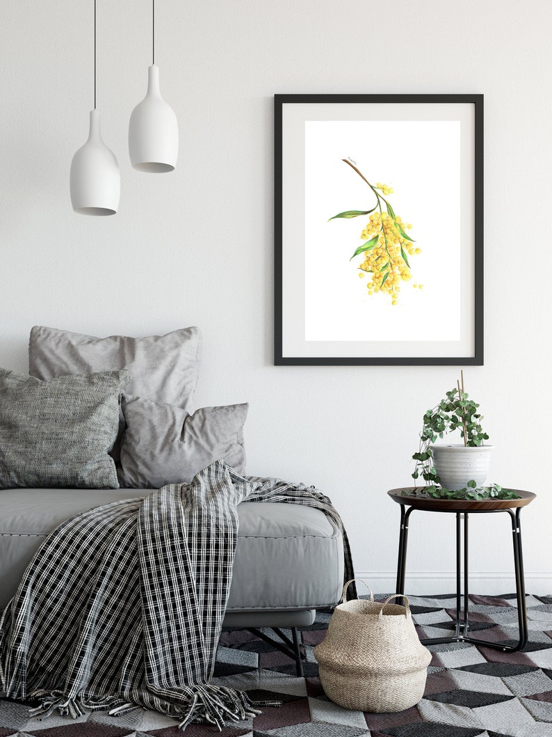 Yellow Wattle Flower Drawing Print. Australian Native Flower ...