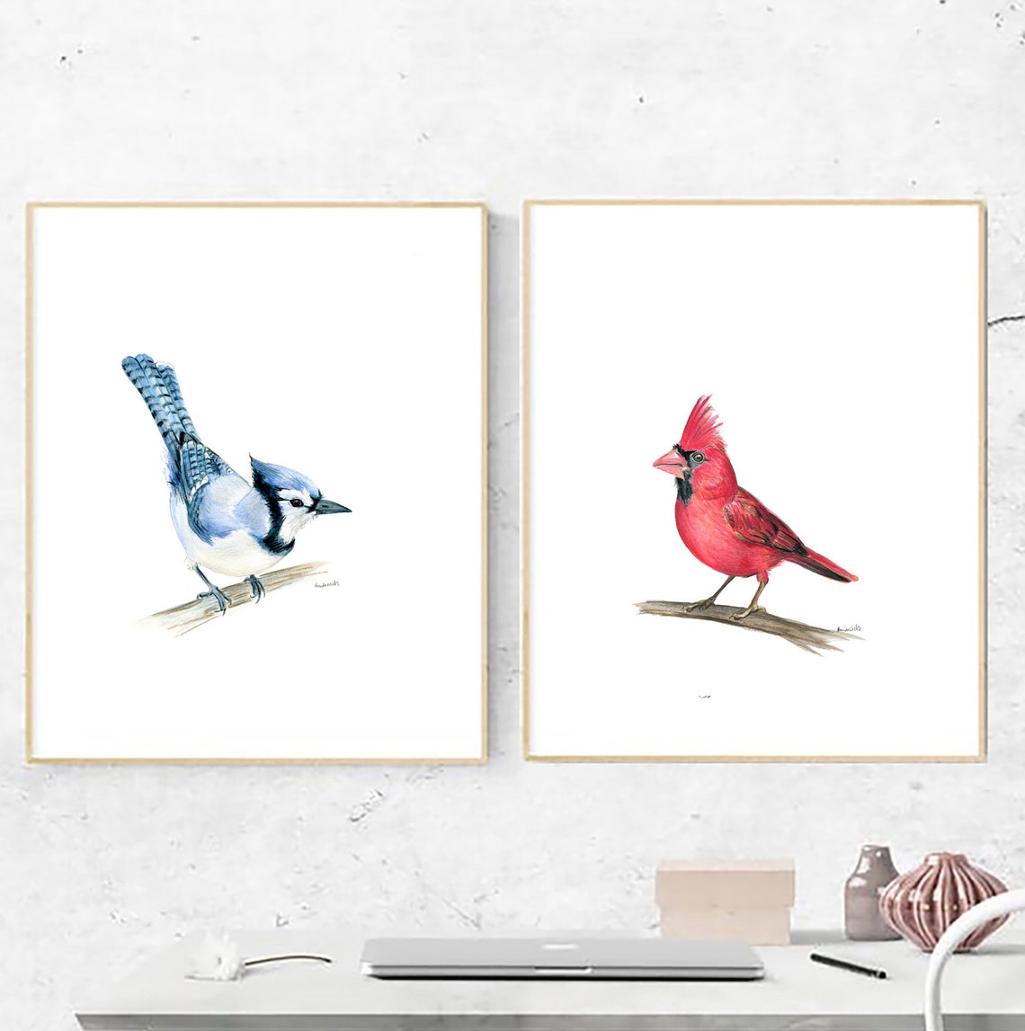Red Cardinal and Blue Jay Art Print Set X2. American Native | Etsy