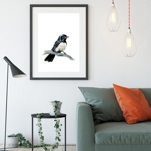Hand Drawn Willy Wagtail Drawing Print. Australian Native Bird ...
