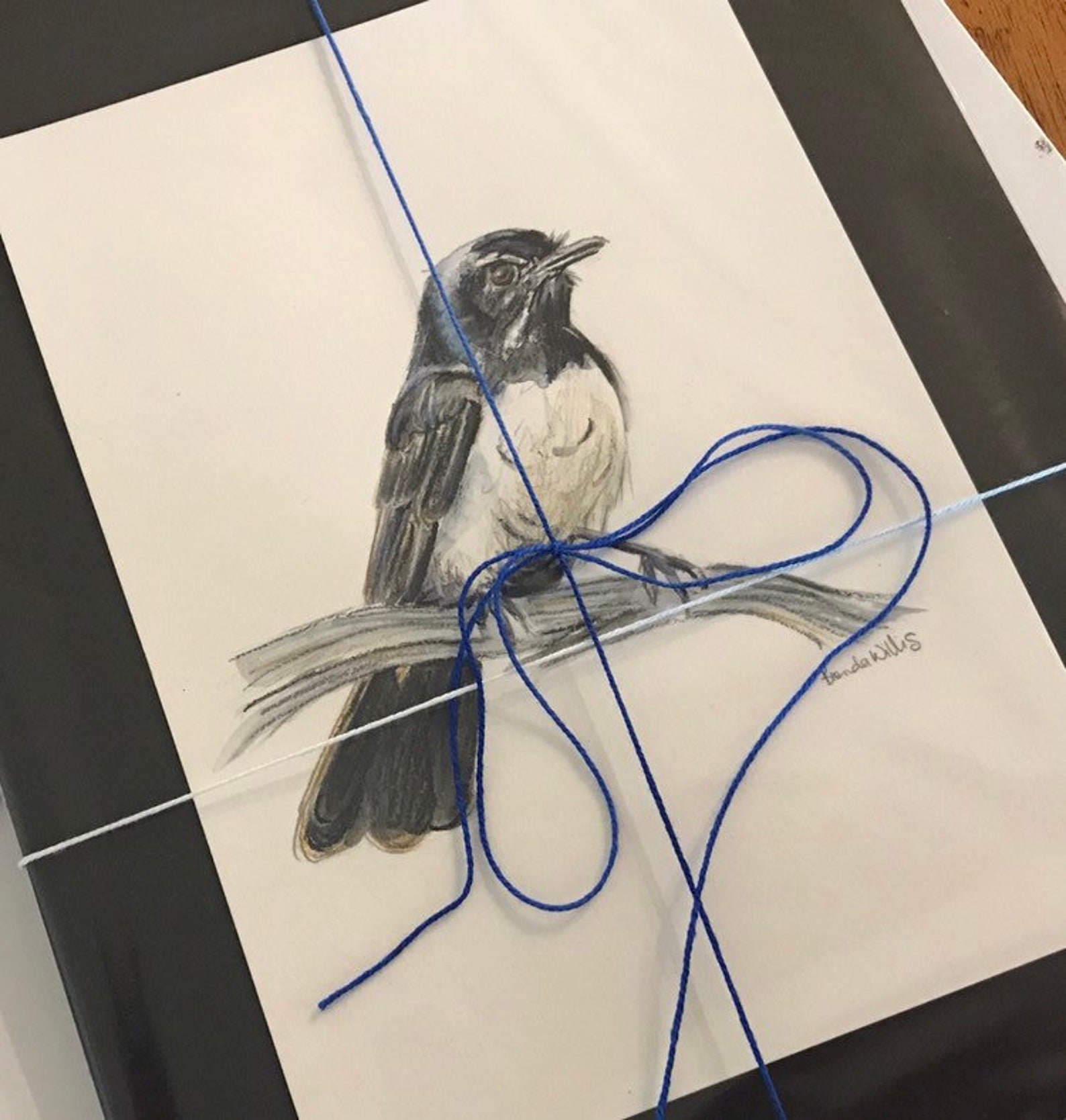 Hand Drawn Willy Wagtail Drawing Print. Australian Native Bird | Etsy