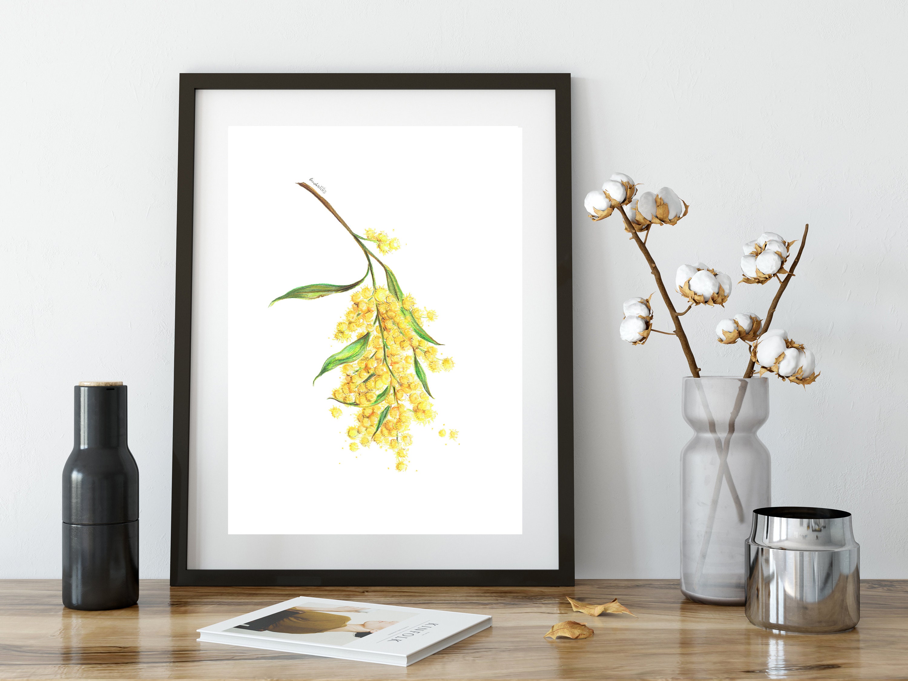 Yellow Wattle Flower Drawing Print. Australian Native Flower ...