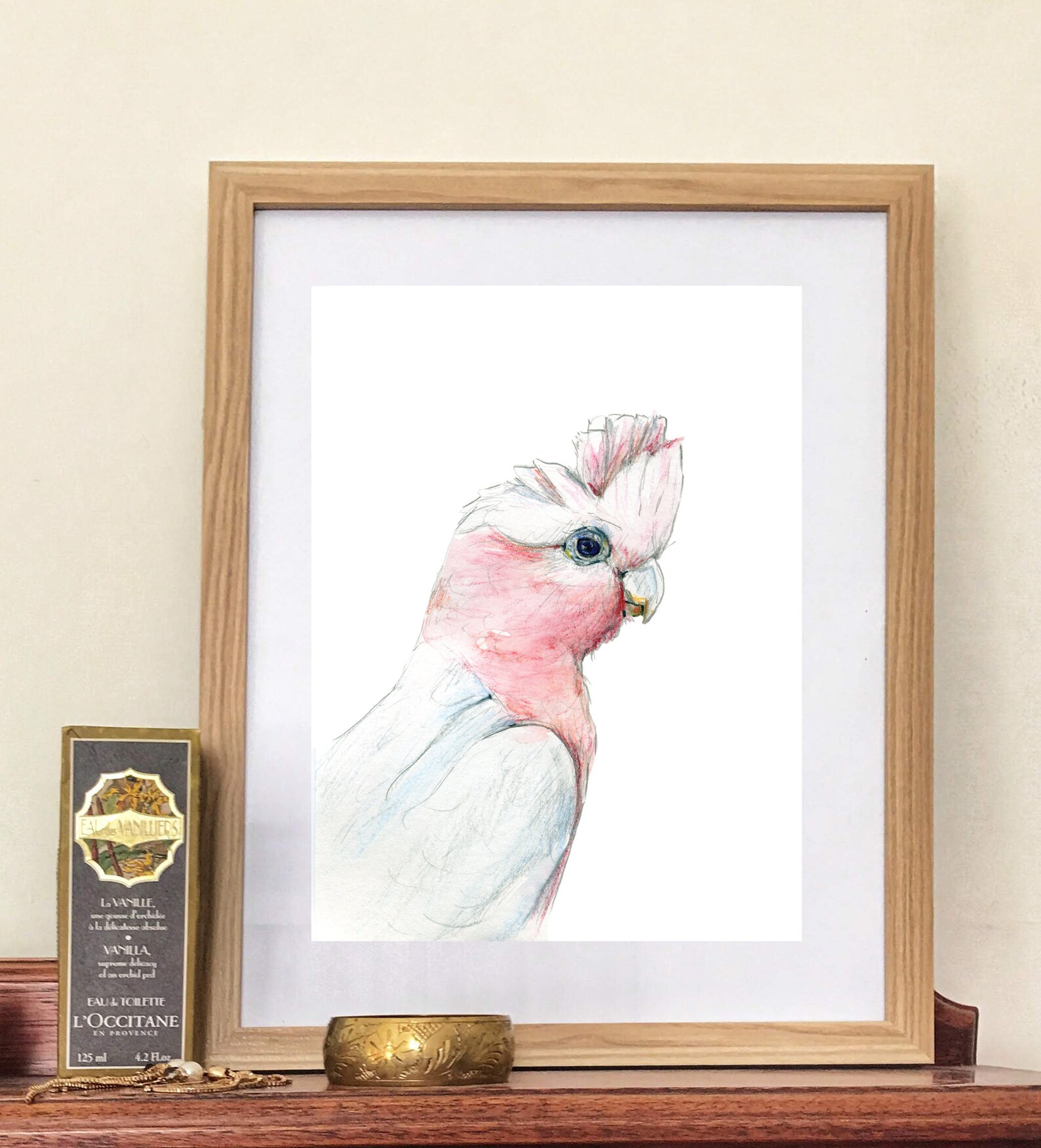 Hand Drawn Pink Galah Drawing Print. Australian Native Bird | Etsy