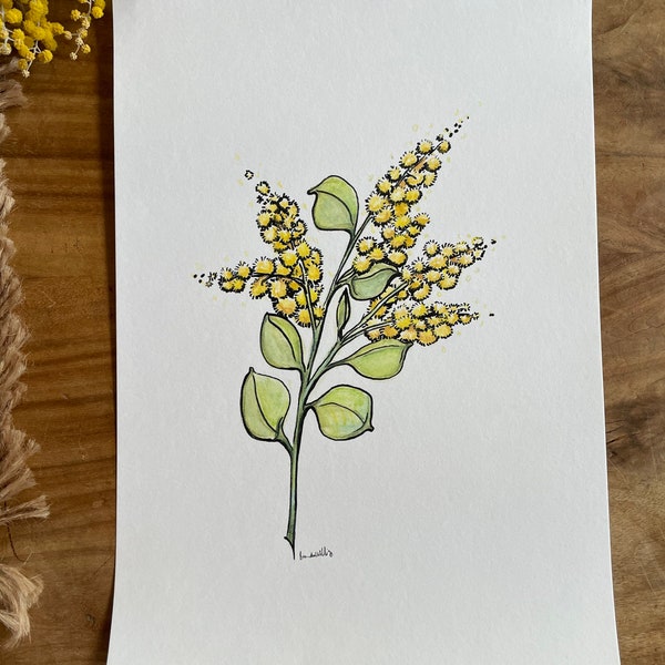 Wattle Drawing - Etsy Australia