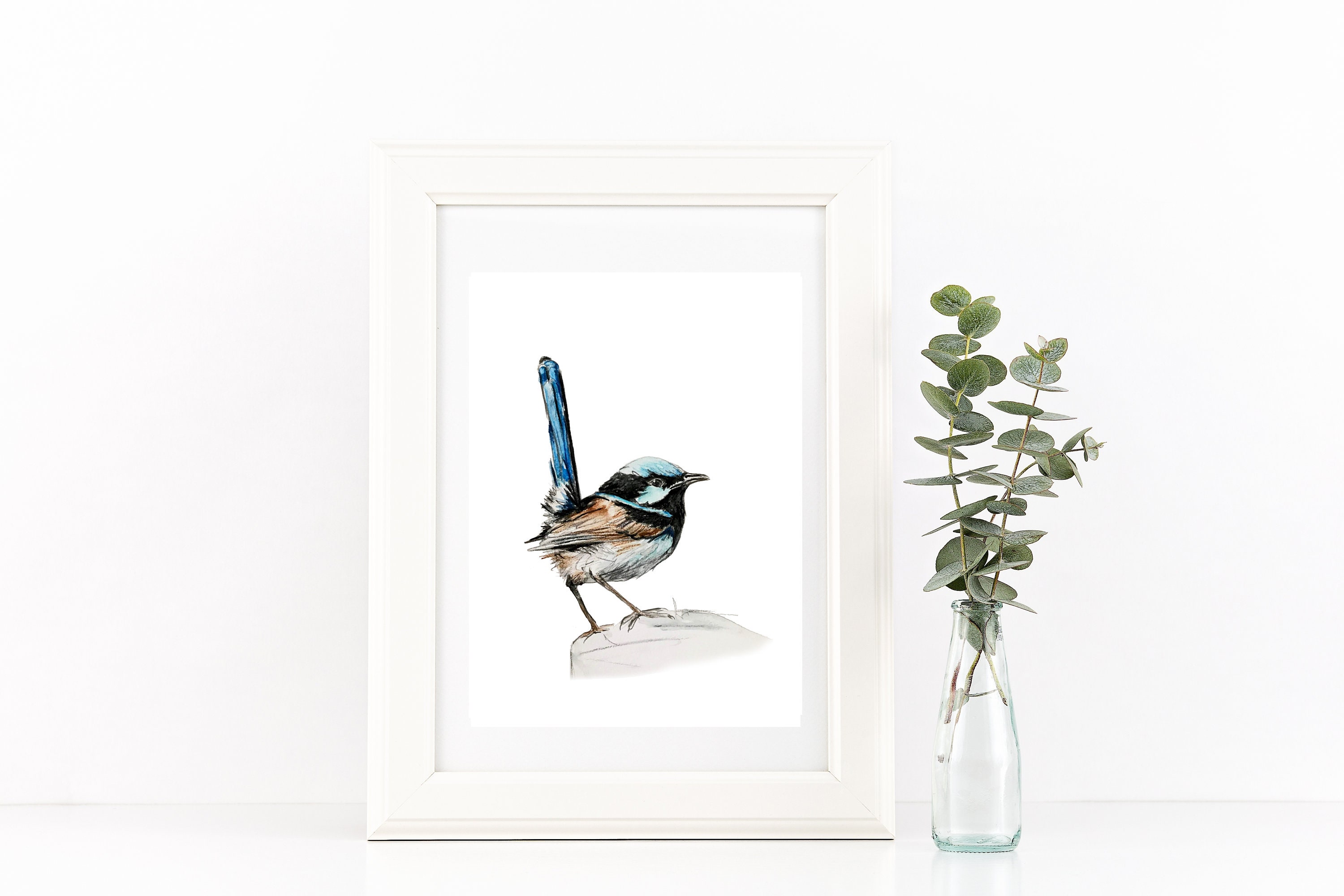 Hand Drawn Blue Wren Drawing Print. Australian Native Bird - Etsy Australia