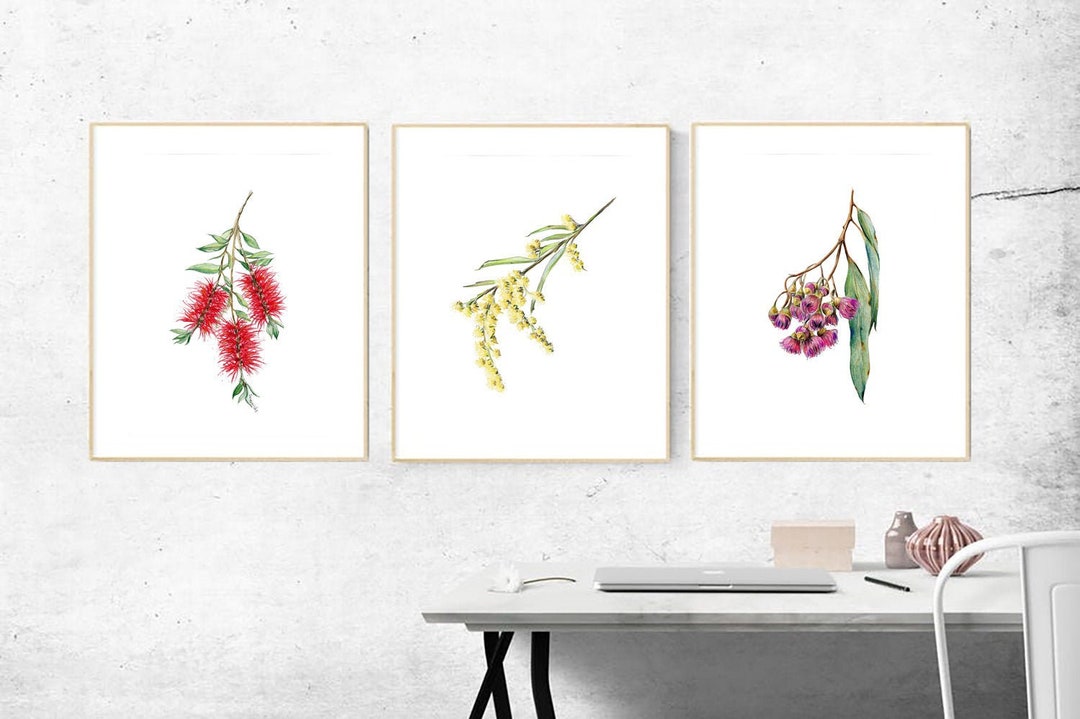 Australian Native Flowers Drawing Print Set. 3 Piece Bottlebrush ...