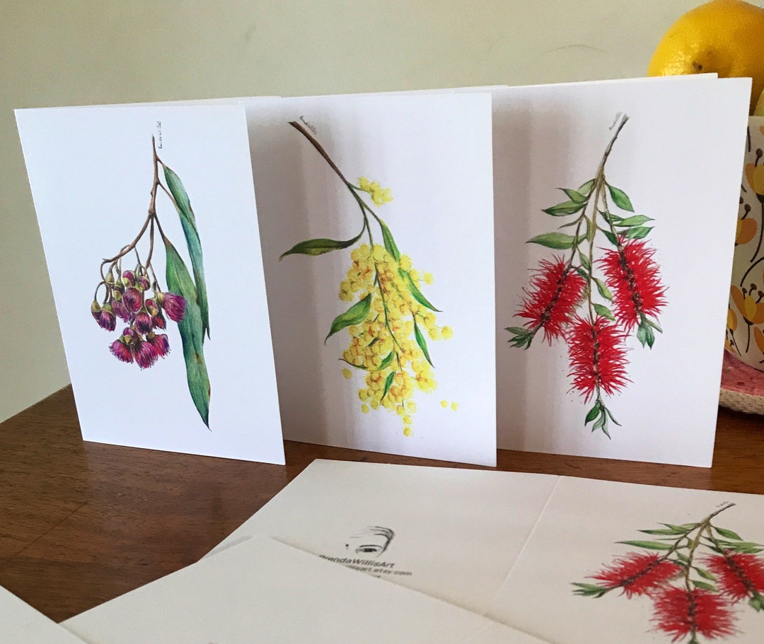 Australian Native Flower 3 Card Set. Pink Gum Blossoms, Yellow Wattle ...