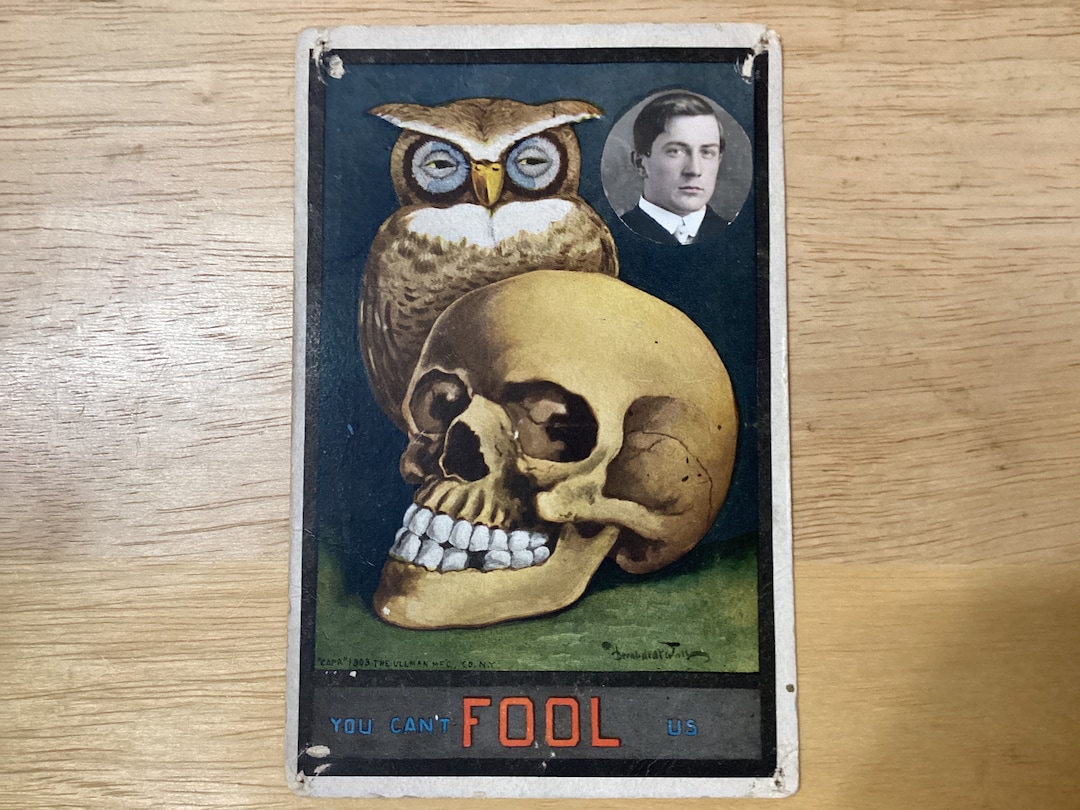 Vintage Halloween Postcard With Skull, Owl, Portrait, you Cant Fool Us ...